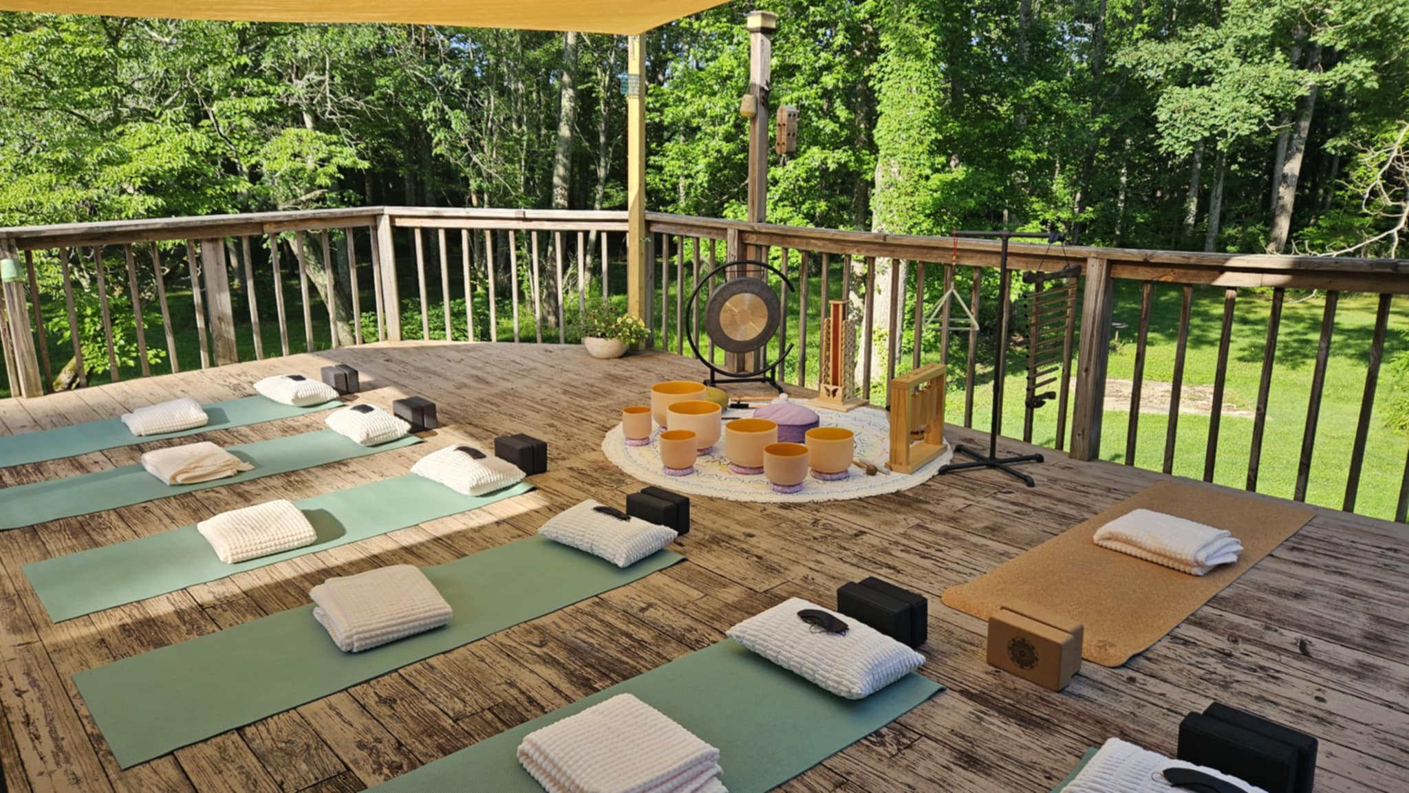 Women's Wisdom and Wellness – Holistic Health Services